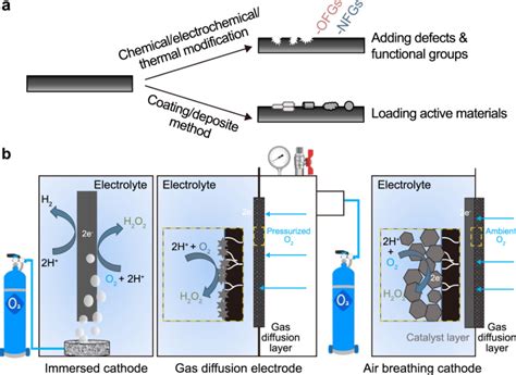 Electrosynthesis Of H2o2 Through A Two Electron Oxygen Reduction Reaction By Carbon Based