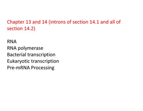 Chapter 13 Transcription Warning Tt Undefined Function 32 Warning Tt Undefined Function