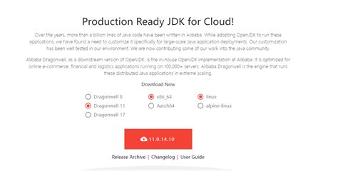 Issue Dragonwell Project Dragonwell Github