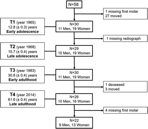 Flow Chart Showing The Numbers Of Subjects With Their Gender And Mean Download Scientific