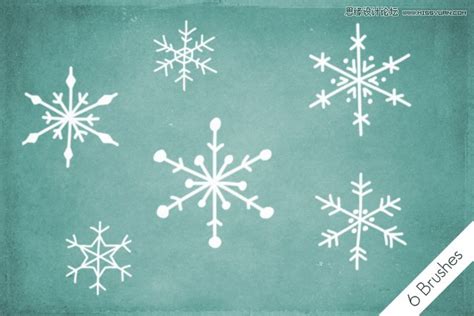 各种形状的冬季雪花笔刷 PS教程网