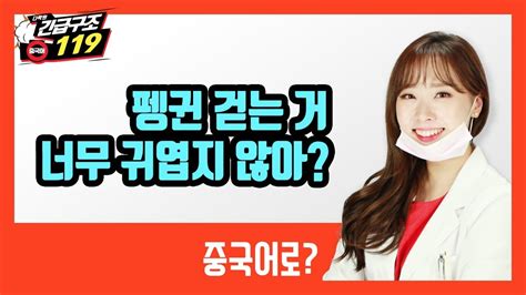 다락원 X 긴급구조 119 중국어 펭귄 걷는 거 너무 귀엽지 않아 동·식물 편중국어회화 중국어 기초 중국어 단어 Youtube