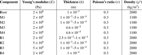 Anisotropic Elastic Properties For Different Structural Components In