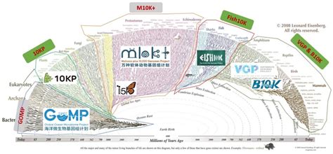 海洋生物基因组学白皮书 知乎