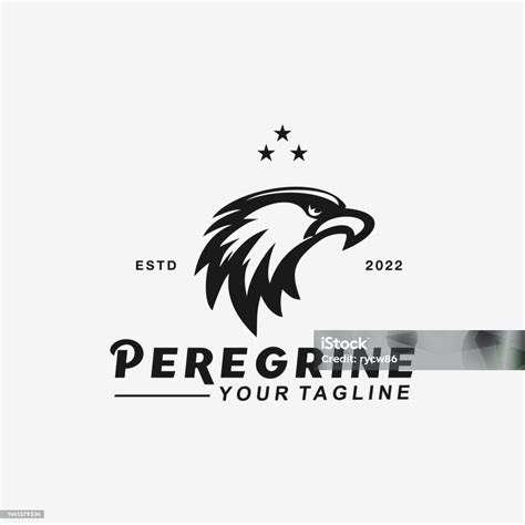 독수리 머리 벡터 그래픽 일러스트 레이 션 디자인 템플릿 아이디어 독수리에 대한 스톡 벡터 아트 및 기타 이미지 독수리 볼테르 인조 개념 Istock