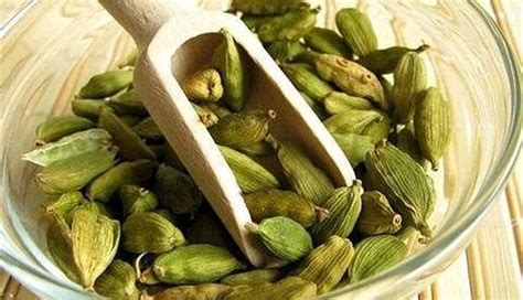 از خواص بی نظیر هل در طب سنتی باخبر هستید؟ پایگاه خبری تحلیلی فرتاک نیوز