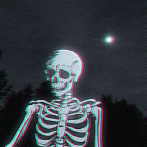 Aesthetic Skull Pfp