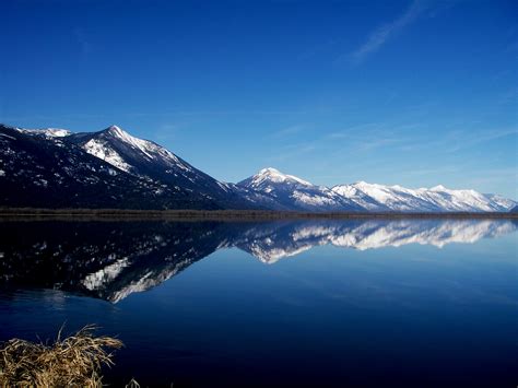 Kootenay Conservation Program Applauds Rdcks Kootenay Lake Local