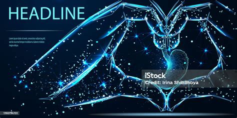 심장 기호와 인간의 위를 보여주는 손 벡터 낮은 폴리 와이어 프레임 미래 의학 연구 치료 건강 분석 실험실 그림 제목 개념에 대한 스톡 벡터 아트 및 기타 이미지 Istock