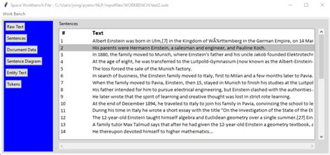 Spacy Workbench In Python Singerlinks