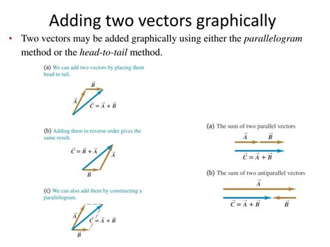PPT Introduction To Vectors In Physics Scalars Vectors And Trigonometry PowerPoint