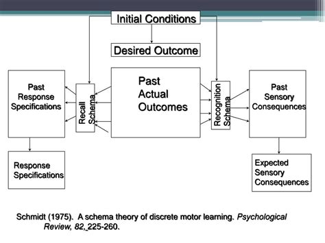 PPT Schema Perspectives PowerPoint Presentation Free Download ID 2564928
