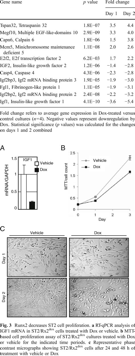 Runx2 Responsive Genes Related To Osteoblast Proliferation Download Table