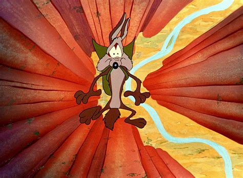 Looney Tunes Coyote Coyote And The Road Runner Krctv