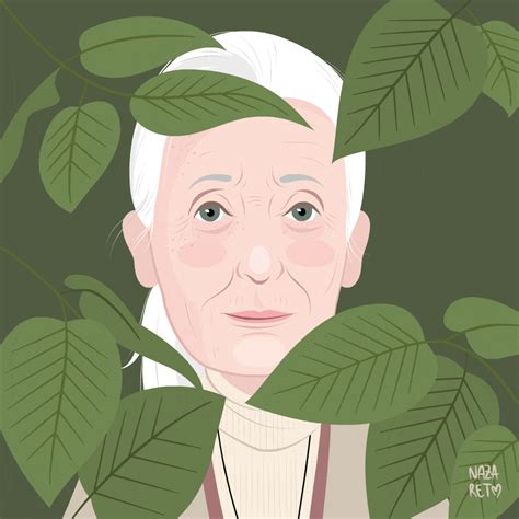 Jane Goodall ~ Nazaret Escobedo · Ilustración Animación 2d Y Diseño