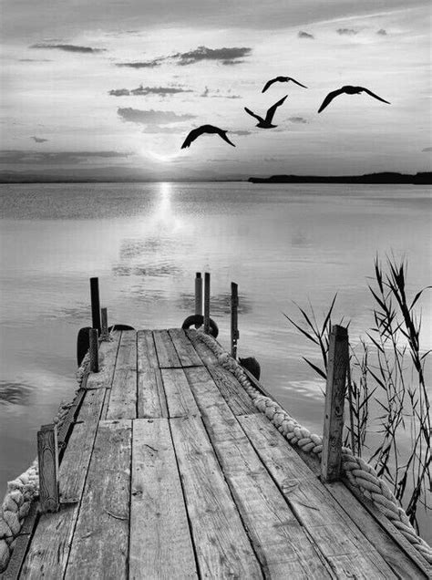 Épinglé Par Çağrı Şanlı Sur Çizim Fikirleri Dessin Paysage Noir Et Blanc Dessin Paysage