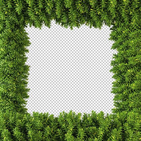 Premium Psd Nature Green Tree Plants Rectangle Frame 3d Rendering