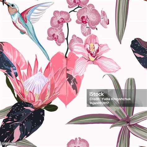 흰색 배경에 분홍색 꽃과 이국적인 열대 잎의 많은 종류와 원활한 꽃 패턴 벡터 그림입니다 0명에 대한 스톡 벡터 아트 및 기타 이미지 Istock