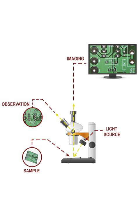 Microscopes Echolab