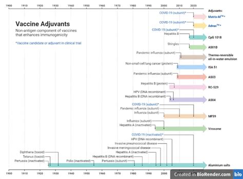 Adjuvants Types And Functions • Microbe Online