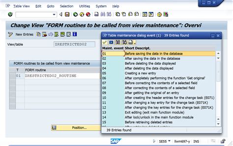 sap® table maintenance generator routines and custom restrictions