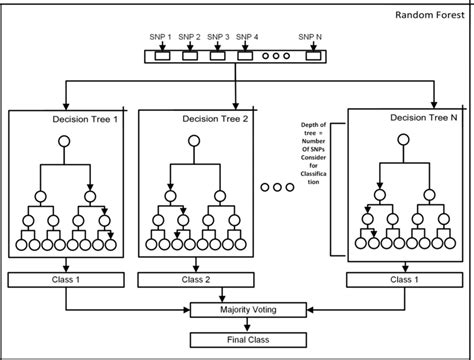 Random Forest Dataset After Preprocessing Is Passed To Each Decision Download Scientific