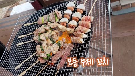 캠핑장에서 수제 모듬 꼬치구이캠핑요리 닭꼬치 염통 베이컨떡말이 소떡소떡 버섯구이 삼겹살 눈감술 카라반 Youtube