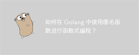 如何在 Golang 中使用匿名函数进行函数式编程? 美云 如何在 Golang 中使用匿名函数进行函数式编程? 美云