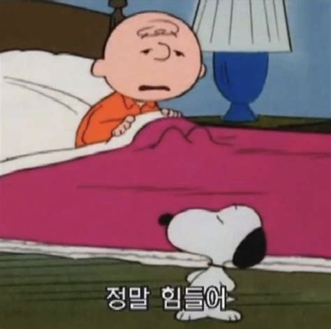 스누피 짤 아이폰배경화면 귀여운짤 힐링짤 스누피 명언 모음