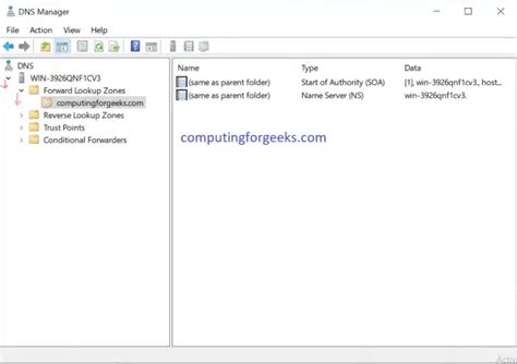 How To Add Dns Aptr Record In Windows Server 2019 Computingforgeeks
