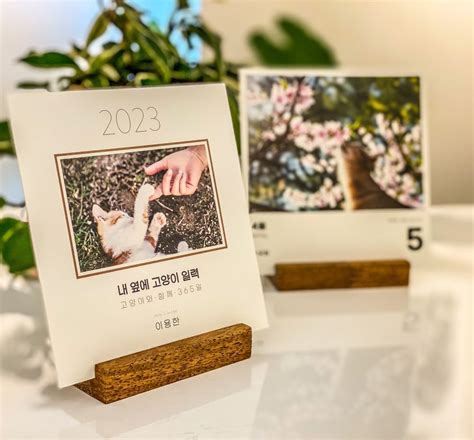 내 옆에 고양이 일력 고양이와 함께 365일 이용한 텀블벅 크리에이터를 위한 크라우드펀딩