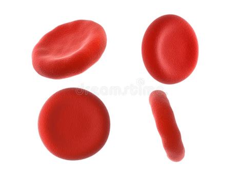 Erythrocyte Stock Illustrations 3 545 Erythrocyte Stock Illustrations Vectors And Clipart