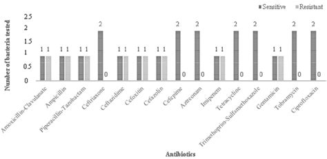 Result Of The Antibiogram Test Of Two Klebsiella Spp Isolated From