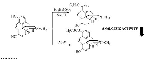 Pdf Structure Activity Relationship Of Morphine Structure Activity Relationship Of Morphine