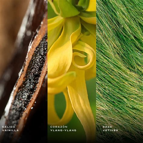 Edp Al Wataniah Watani Intense Gold X 100 Ml Farmacity