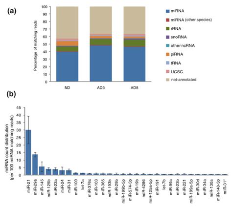 Distribution Of Deep Sequenced Small Rnas Across Non Coding Rna