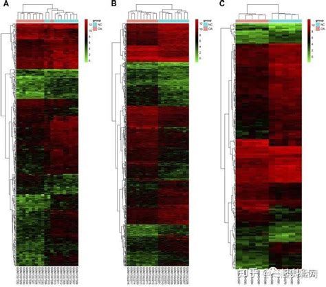 4 高分技巧：多数据集 知乎