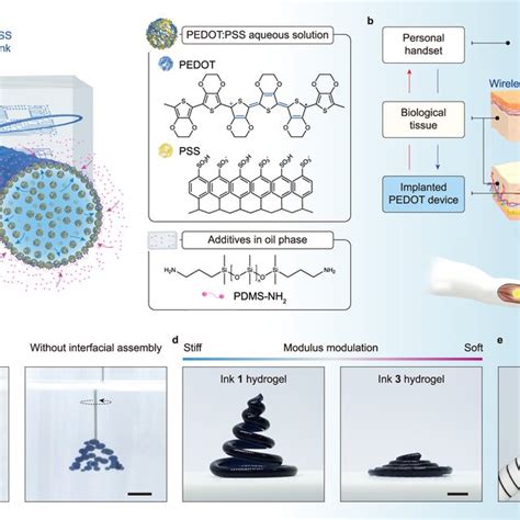 Liquid In Liquid 3d Printing Of Hydrogels With Tunable Morphology