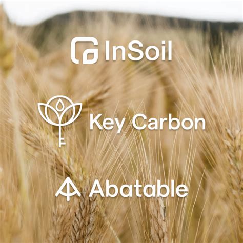 How Much Demand Will There Be For Corsia Carbon Credits