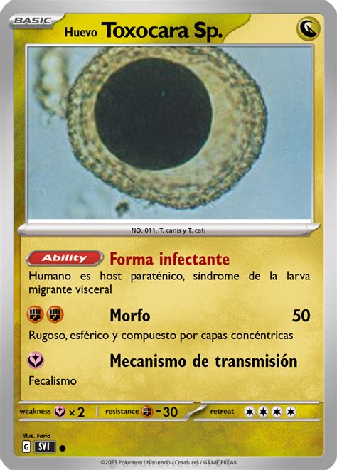 Toxocara Sp Benjatroll007 Poké