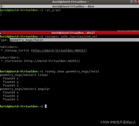 Ros通信实操（小乌龟通信实现）（九）c、python采用参数通讯方式编写一个节点控制乌龟的的颜 色和绘制的线条乌龟相关信息在