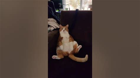 Peener Snipper Guy Youtube