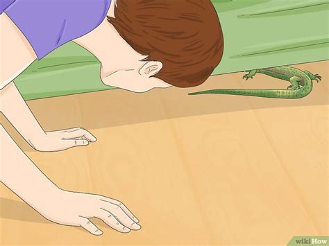 How To Catch A Lizard In The House 10 Simple Tips