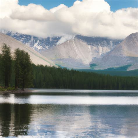 The Role Of Reverse Proxies In Server Infrastructure Types Of Proxy