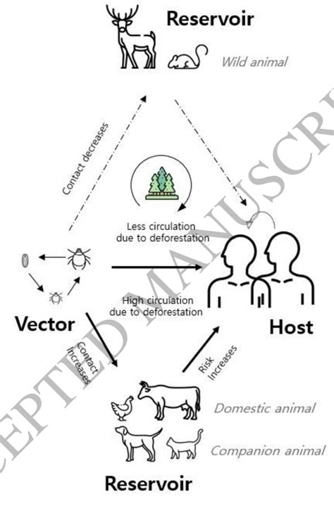 transmission route of sftsv download scientific diagram