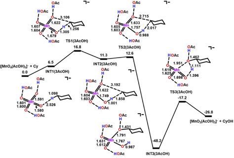 Pes And Structures For Cyclohexane Oxidation By Mno4acoh3 ⁻ At The