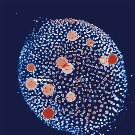 Luxendo On Linkedin Fluorescencefriday Sciart Microscopy Microscopyart