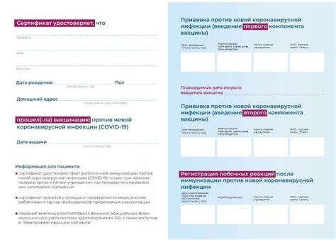 Распечатать бланк прививочного сертификата 156у 93 - Komi-Time.ru