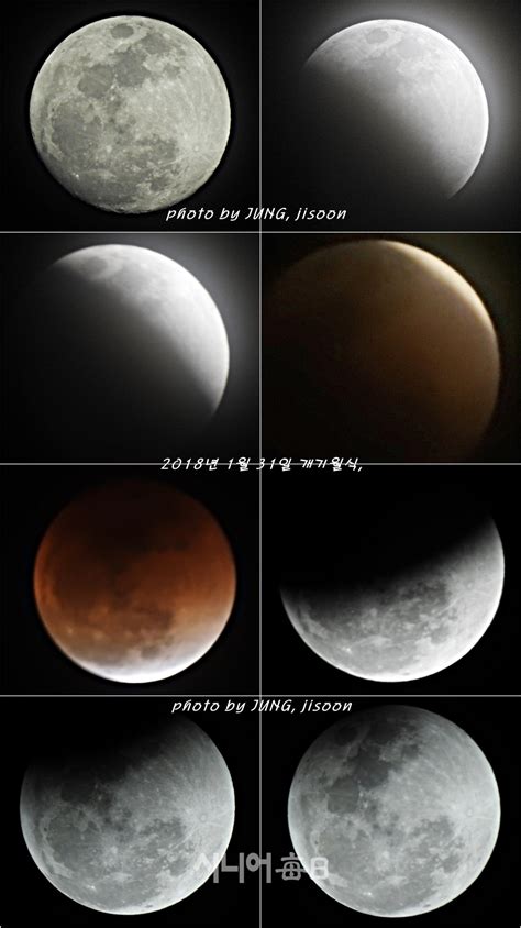 달 그 신비로움③종합편 시니어매일