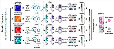 Overview Of The Proposed Method An Ensemble Deep Learning Model